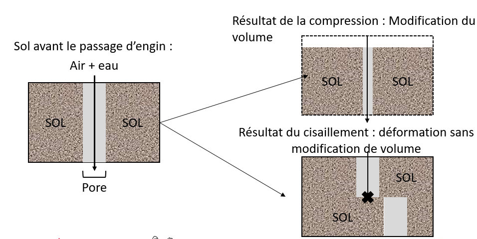 Thèse : Effets Des Traits Racinaires Sur La Résistance Du Sol Au ...